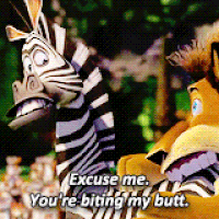 Madagascar GIFs - Get the best gif on GIFER