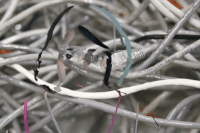 Wires GIFs - Get the best gif on GIFER