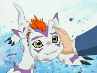 Gomamon гифки, анимированные GIF изображения gomamon - скачать гиф ...