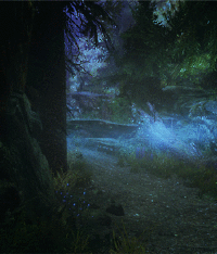 Foggy forest GIFs - Get the best gif on GIFER