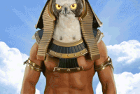 Pec GIFs - Get the best gif on GIFER