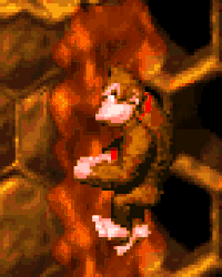 Donkey kong country returns GIF - Conseguir o melhor gif em GIFER