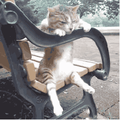 Bench GIFs - Get the best gif on GIFER