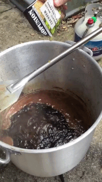 Colon GIFs - Get the best gif on GIFER