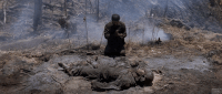 Thin blue line GIFs - Get the best gif on GIFER