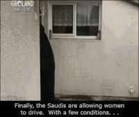 Condition GIFs - Get the best gif on GIFER