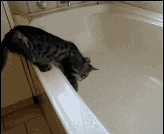 Bathtubs гифки, анимированные GIF изображения bathtubs - скачать гиф ...