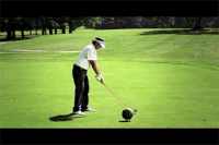Golf ball GIFs - Get the best gif on GIFER