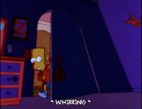 Shutting GIFs - Get the best gif on GIFER