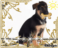 Deutsch GIFs - Get the best gif on GIFER