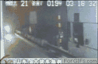 Inertia GIFs - Get the best gif on GIFER