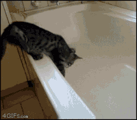 Noooooo GIFs - Get the best gif on GIFER
