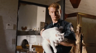 Postal GIFs - Get the best gif on GIFER