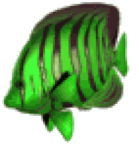 Peche GIFs - Get the best gif on GIFER