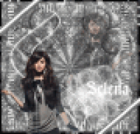 Ford focus GIFs - Get the best gif on GIFER