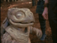 Ruff GIFs - Obtenez le meilleur gif sur GIFER