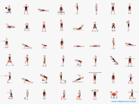 Bodyweight GIFs - Get the best gif on GIFER