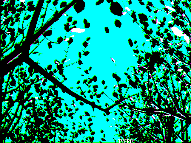 Contemporaryart GIF - Conseguir o melhor gif em GIFER