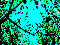 Vfx GIFs - Get the best gif on GIFER