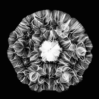 Cinder GIFs - Get the best gif on GIFER