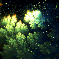 Bright GIFs - Get the best gif on GIFER