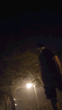 Timing GIFs - Get the best gif on GIFER