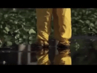 It GIFs - Get the best gif on GIFER