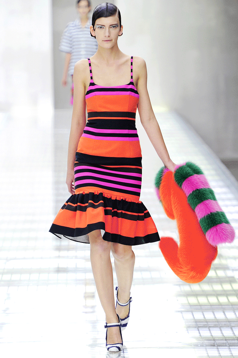 Coloured fur GIF - Conseguir el mejor gif en GIFER