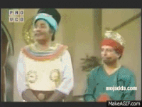 Ptv GIFs - Get the best gif on GIFER