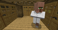Villager GIFs - Get the best gif on GIFER