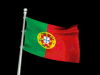 Portugal GIFs - Get the best gif on GIFER
