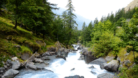 River GIFs - Get the best gif on GIFER
