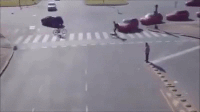 Driver license GIF - Conseguir o melhor gif em GIFER