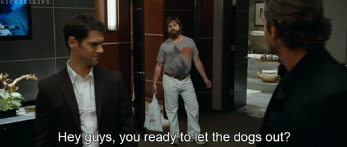 Alan the hangover GIF - Conseguir o melhor gif em GIFER