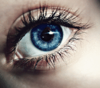 Lashes GIFs - Get the best gif on GIFER