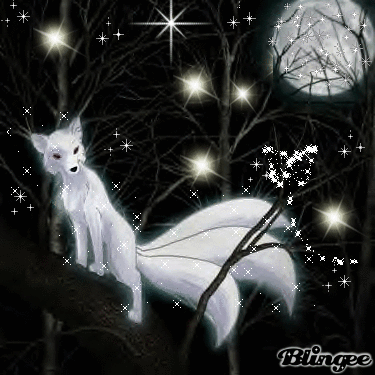 Silver fox GIF - Conseguir o melhor gif em GIFER