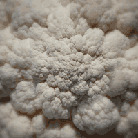 Unknown GIFs - Get the best gif on GIFER