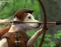 Wishbone GIFs - Get the best gif on GIFER