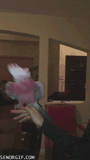 G5 GIFs - Get the best gif on GIFER