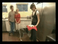 Flashbacks GIFs - Get the best gif on GIFER