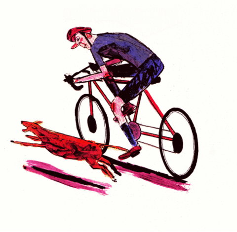 Leclerc GIFs - Get the best gif on GIFER