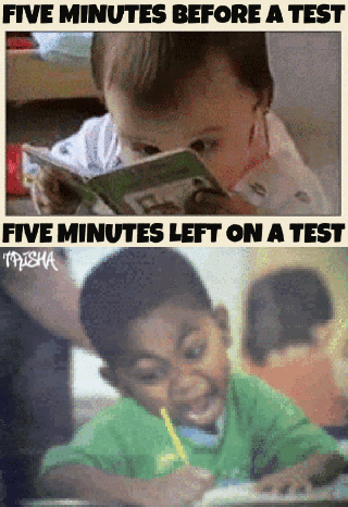 Midterm GIFs - Get the best gif on GIFER