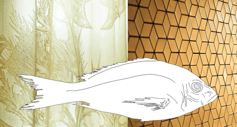 Ev GIFs - Get the best gif on GIFER