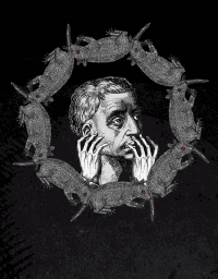 Rat GIFs - Get the best gif on GIFER