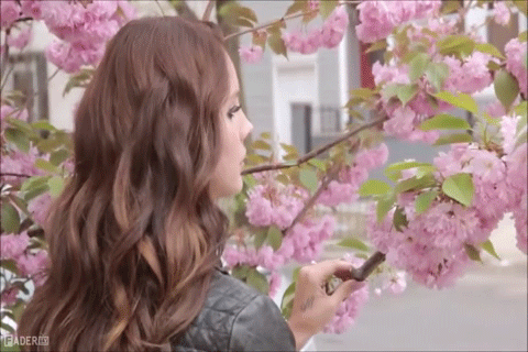 Fader GIFs - Get the best gif on GIFER