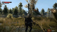 Witcher GIFs - Get the best gif on GIFER