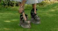 Frenzy GIFs - Get the best gif on GIFER