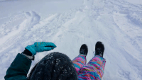 Sledding GIFs - Get the best gif on GIFER