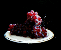 Grape GIFs - Get the best gif on GIFER