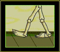 Dk GIFs - Get the best gif on GIFER